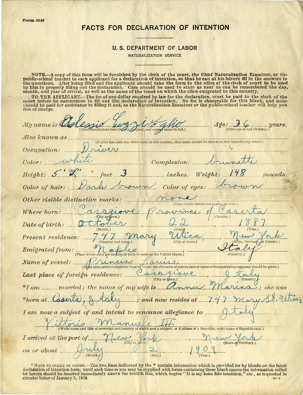 Facts for Declaration of Intention for Alessio Cuzzivoglio